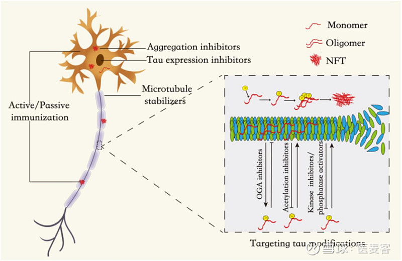 Biogen的ASO疗法治疗AD展现积极临床结果，多疾病领域布局管线 2023年4月1日/医麦客新闻 eMedClub News/--近日，渤 ...