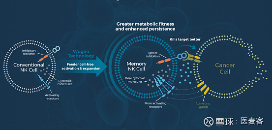 记忆NK”疗法最新数据即将公布，Wugen细胞疗法布局进展一览 2023年4月4日/医麦客新闻 eMedClub News/--近日，一家开发 ...
