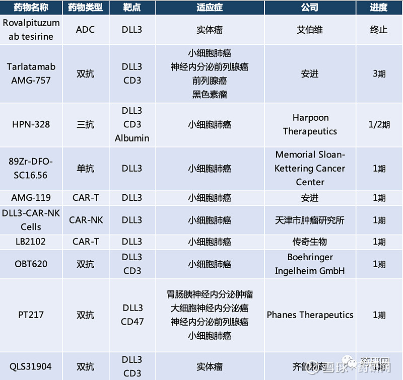 DLL3：多赛道进击小细胞肺癌 DLL3概述Delta样配体3 (Delta-Like Ligand 3, DLL3)是Notch配体家族的一员，是一种... - 雪球