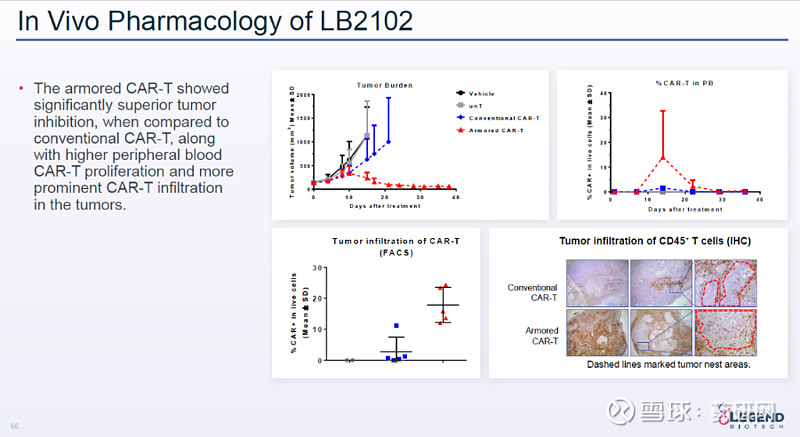 DLL3：多赛道进击小细胞肺癌 DLL3概述Delta样配体3 (Delta-Like Ligand 3, DLL3)是Notch配体家族的一员，是一种... - 雪球