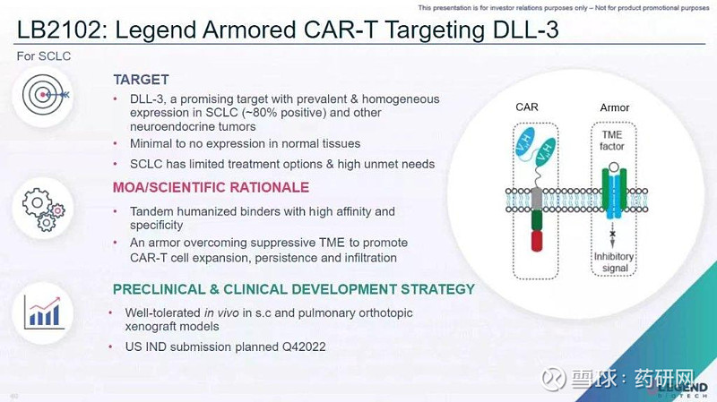 DLL3：多赛道进击小细胞肺癌 DLL3概述Delta样配体3 (Delta-Like Ligand 3, DLL3)是Notch配体家族的一员，是一种... - 雪球
