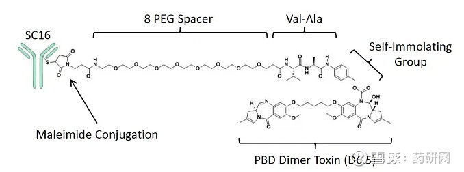 DLL3：多赛道进击小细胞肺癌 DLL3概述Delta样配体3 (Delta-Like Ligand 3, DLL3)是Notch配体家族的一员，是一种... - 雪球