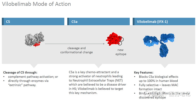 InflaRx股价大涨127%：C5a抗体获批治疗新冠重症 Armstrong 2023年4月4日， InflaRx 宣布C5a抗体 ...