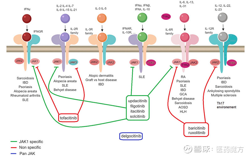 千亿美元自免赛道，中国创新药新风口 自身免疫疾病是由于机体免疫系统异常而对自身抗原产生免疫反应进而导致自身机体损伤的一类疾病的总称，包括类风湿 ...