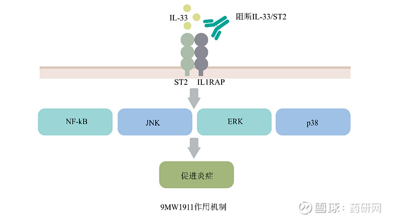 迈威生物技术梳理 迈威生物 专注于自身免疫、肿瘤、代谢、眼科、感染等规模大及增长速度快的治疗领域，基于 5 个技术平台和研发创新能力建立了 ...