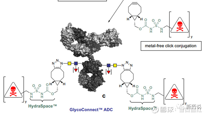 N-糖基化定点偶联先锋——Synaffix 技术解析 sponge X 新药说 2023-04-12 07:57 发表于浙江 网页链接本篇起因 ...