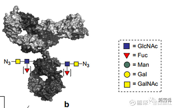 N-糖基化定点偶联先锋——Synaffix 技术解析 sponge X 新药说 2023-04-12 07:57 发表于浙江 网页链接本篇起因 ...