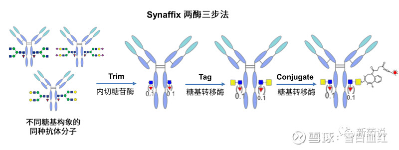 N-糖基化定点偶联先锋——Synaffix 技术解析 sponge X 新药说 2023-04-12 07:57 发表于浙江 网页链接本篇起因 ...