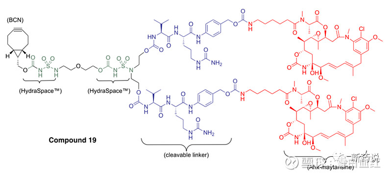 N-糖基化定点偶联先锋——Synaffix 技术解析 sponge X 新药说 2023-04-12 07:57 发表于浙江 网页链接本篇起因 ...