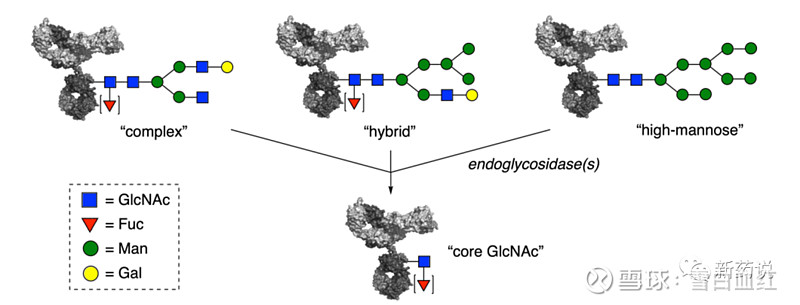 N-糖基化定点偶联先锋——Synaffix 技术解析 sponge X 新药说 2023-04-12 07:57 发表于浙江 网页链接本篇起因 ...