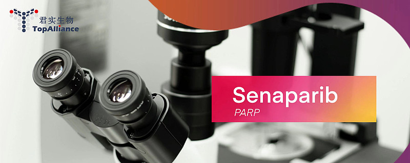 君实生物PARP抑制剂senaparib用于晚期卵巢癌全人群一线维持治疗的III期临床研究达到主要研究终点 北京时间2023年4月11日， 君 ...