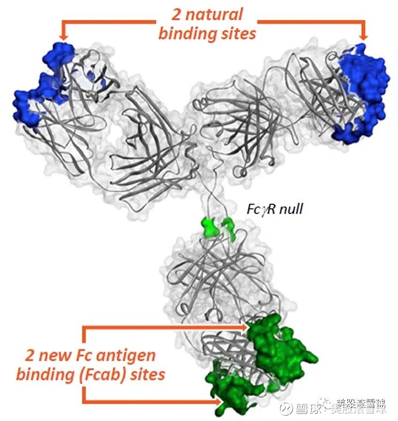 波折并购的背后：中国生物制药收购F-star启示录 艰辛的并购历程2022年6月， 中国生物制药 (HK:01177)的子公司invoX ...