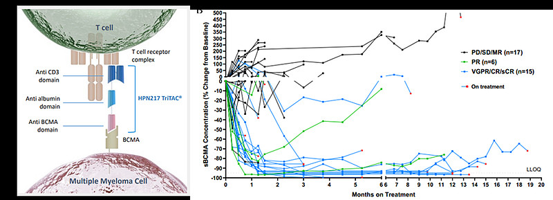 癌症治疗中的新兴抗体 来源：药渡撰文：五月 编辑：丸子抗体领域无疑是近几年最火的研发领域，不论是从融资金额，融资数量，获批药物数量还是从抗体药 ...