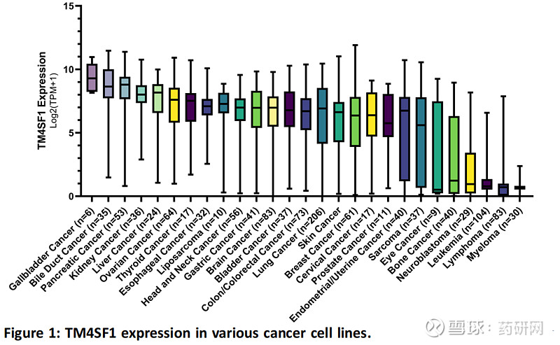 不走寻常路的TM4SF1 ADC Transmembrane 4 L six family 1 (TM4SF1)是 L6 家族的成员，最初于 ...
