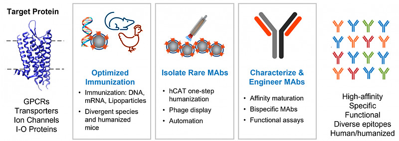 AACR2023明星：CCR8 AACR2023多家中外企业报道了CCR8抗体的研发进展...CCR8+免疫细胞1997年美国国家过敏和传染病 ...