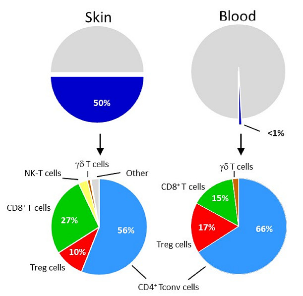 AACR2023明星：CCR8 AACR2023多家中外企业报道了CCR8抗体的研发进展...CCR8+免疫细胞1997年美国国家过敏和传染病研究所H.... - 雪球
