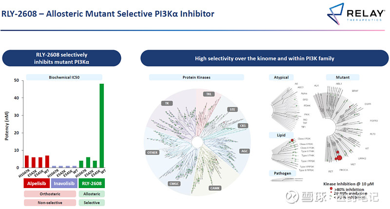 AI制药先驱Relay股价大跌36%：选择性PI3Kα抑制剂，16例患者仅1例PR Armstrong 2023年4月18日，AI制药先驱公司 Relay Therapeutics 在 ...
