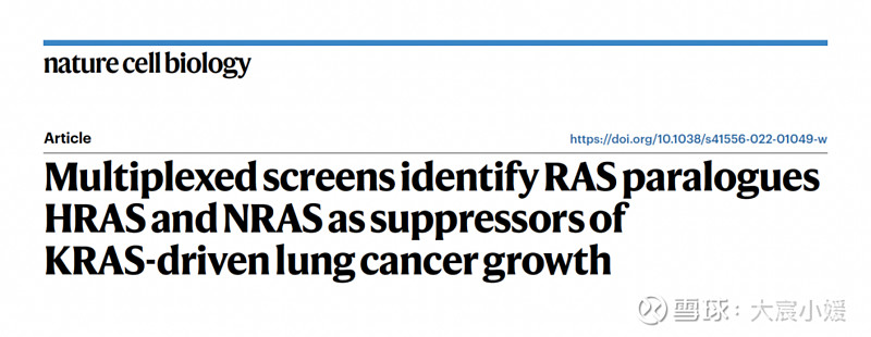 $加科思-B(01167)$ KRAS multi和泛RAS（PAN-RAS），这两种药物开发策略到底有什么区别？一篇今... - 雪球