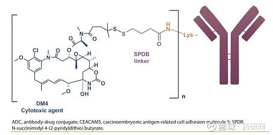 旧CEACAM5的新出路：肿瘤免疫治疗 近期的AACR年会上，赛诺菲和礼新医药分别公布了其CEACAM5 ADC和双抗的在研进展，CEACAM5早在1965年就... - 雪球