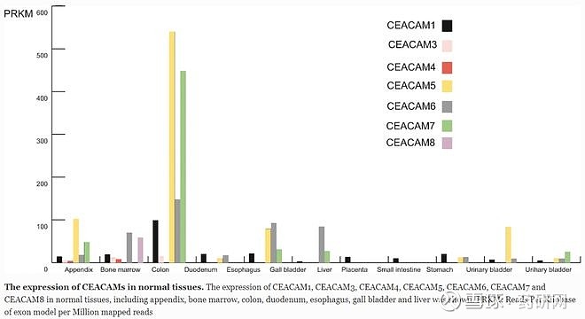 旧CEACAM5的新出路：肿瘤免疫治疗 近期的AACR年会上，赛诺菲和礼新医药分别公布了其CEACAM5 ADC和双抗的在研进展 ...