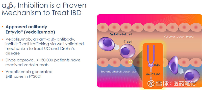 Mophic小分子α4β7抑制剂：UC二期临床成功 Armstrong 2023年4月25日，Morphic Therapeutics 宣布小分子整合素α4β7抑制剂MO... - 雪球