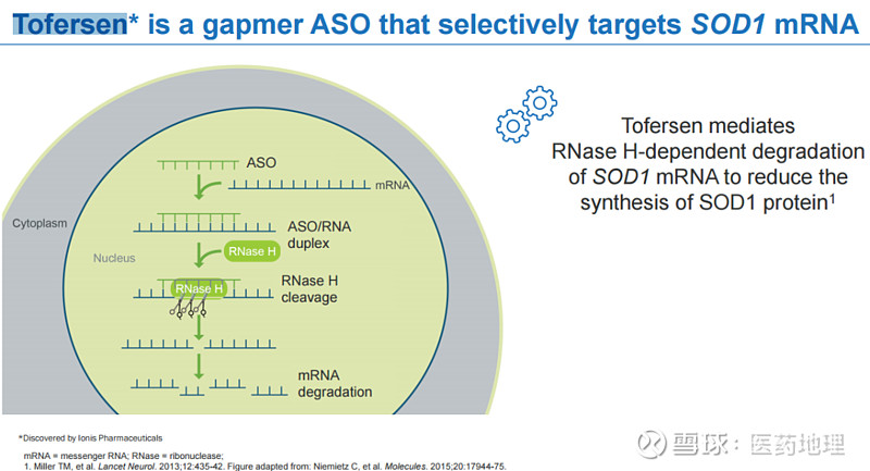 FDA加速批准Biogen治疗ALS的新药Tofersen上市 4月25日，Biogen/lonis联合宣布FDA已同意加速批准用于治疗超氧化物歧化酶1(SOD1)突变所致肌萎缩侧索硬... - 雪球