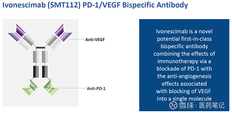 康方生物：合作伙伴Summit将在美国启动PD-1/VEGF双抗两项三期临床 Armstrong 2023年5月3日， Summit ...