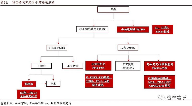 信达生物orient-31研究，PD-1四药联合后线治疗EGFR耐药肺癌，耗费15个月时间还没有批准上市？ （一）EGFR耐药非鳞非小细胞肺癌 ...