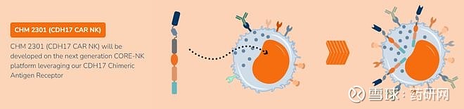 消化道肿瘤靶点新星：CDH17 Cadherins是一个大型的细胞粘附分子超家族，至少有六个亚家族，包括典型Cadherin、非典型 ...