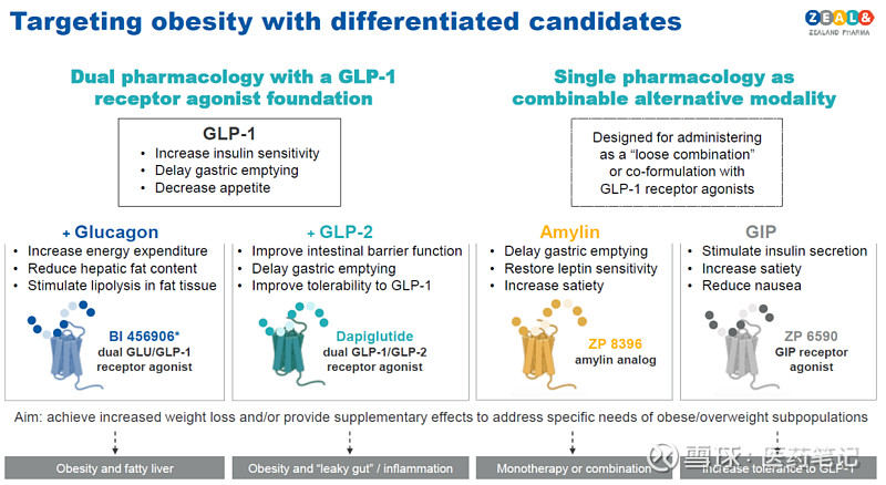 勃林格殷格翰/Zealand：GLP-1R/GCGR双靶点激动剂46周减重14.9% Armstrong 2023年5月10日，勃林格殷格翰与 Zealand Pharma 宣布GLP-1R ...