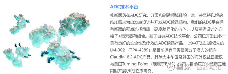 6亿美元：礼新医药GPRC5D ADC授权给阿斯利康 Armstrong 2023年5月12日，礼新医药宣布与 阿斯利康 达成合作协议，将 ...