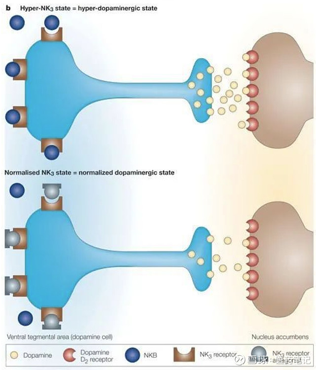 全球首款：FDA批准安斯泰来NK3受体拮抗剂，治疗绝经期潮热 Armstrong 2023年5月12日，FDA批准安斯泰来 ...