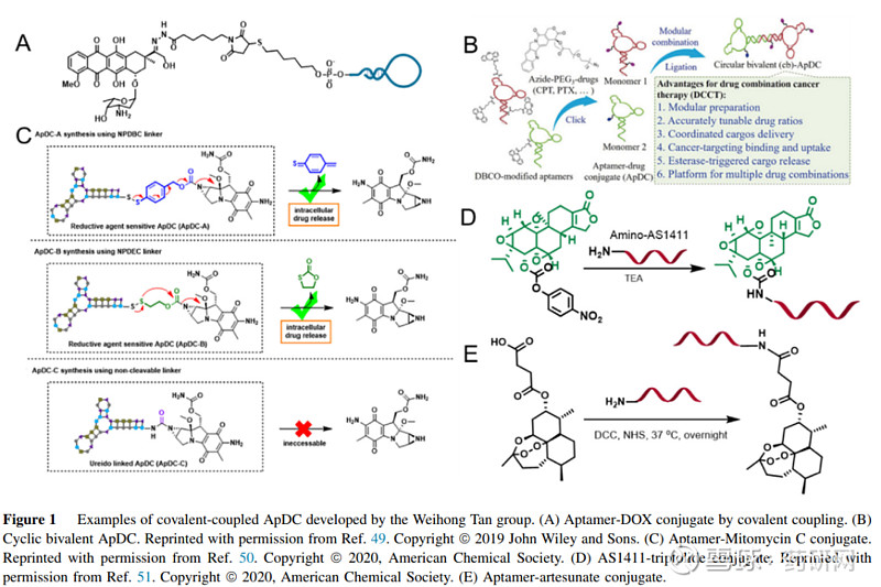 万物皆可偶联之适配体偶联药物（ApDC） 俗话说，万物皆可偶联。目前开发的偶联药物中以ADC最为火热，其他形式的还有PDC（多肽）、ISAC ...