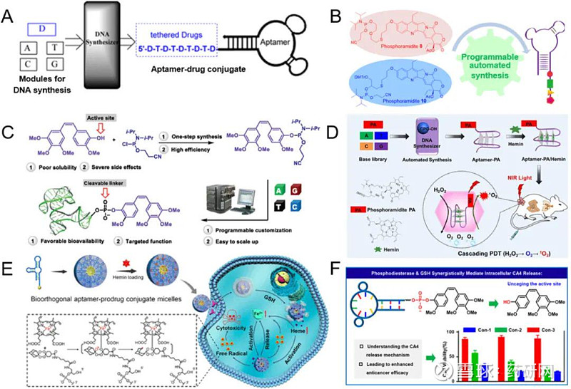 万物皆可偶联之适配体偶联药物（ApDC） 俗话说，万物皆可偶联。目前开发的偶联药物中以ADC最为火热，其他形式的还有PDC（多肽）、ISAC（免疫刺激抗体偶联物）... - 雪球
