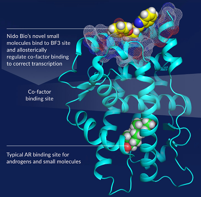 逾一亿美元助力！这家新锐如何改变神经疾病疗法开发方式？ 今日，Nido Biosciences宣布完成种子轮、A轮和B轮融资，总计数额1.09 ...