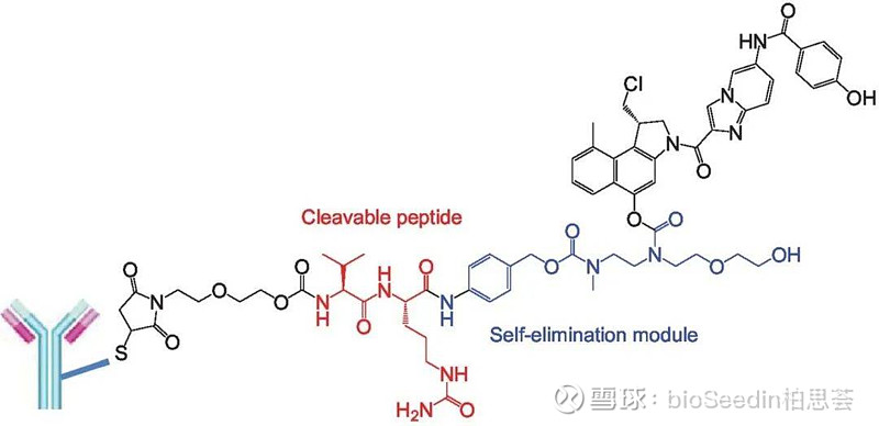 HER2 ADC暂停上市，FDA对靶点扎堆下手 PREFACE前言HER2 ADC热的上火，Byondis先被FDA浇了一盆凉水。5月15日 ...