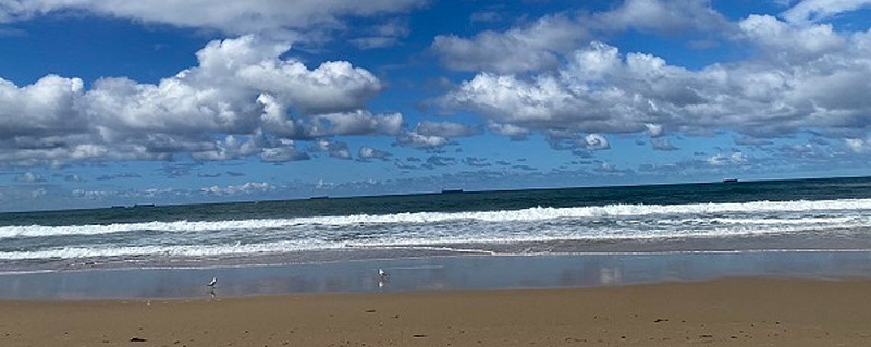 Coda矿业（ASX:COD)：毗邻多家铜业巨头 澳洲下个大型铜矿藏呼之欲出？ ACB News《澳华财经在线》5月17日讯 作为一家在 ...