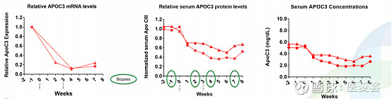 Arrowhead续笔Ionis，首个APOC3靶向RNAi疗法即将闯关FDA 2023年5月19日/医麦客新闻 eMedClub News ...