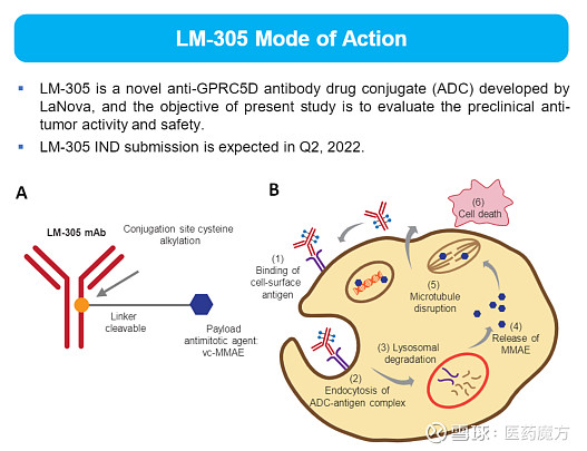 中国Biotech公司ADC产品技术特色 2021年8月， 荣昌生物 就维迪西妥单抗与 Seagen 达成潜在总额高达26亿美元的授权交易 ...