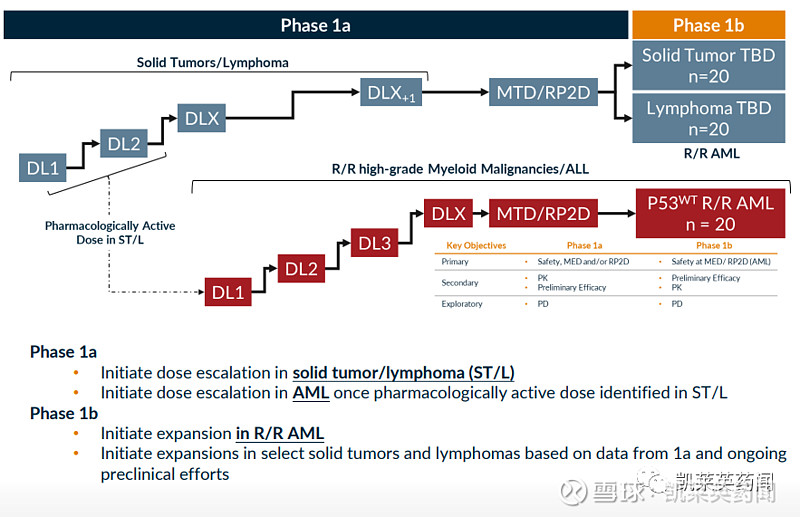Kymera：在EADV研讨会上公布了IRAK4降降剂KT-474 的最新1期积极临床数据 欢迎关注 凯莱英 药闻2023年5月18日 ...
