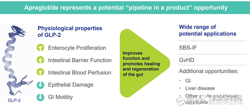10亿美元！Ironwood收购VectivBio，获得潜在同类最佳GLP-2类似物Apr... 欢迎关注 凯莱英 药闻2023年5月22日 ...