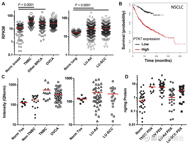 PTK7研究进展与竞争格局 来源：药研网 1 PTK7靶点概述 蛋白酪氨酸激酶7(PTK7)是一种Wnt辅助受体，也是脊椎动物发育和胚胎生成中 ...