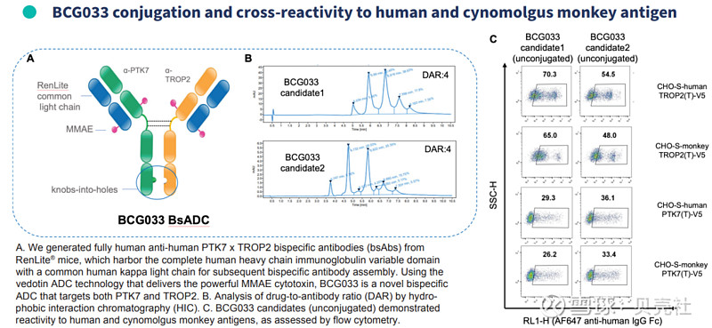 PTK7研究进展与竞争格局 来源：药研网 1 PTK7靶点概述 蛋白酪氨酸激酶7(PTK7)是一种Wnt辅助受体，也是脊椎动物发育和胚胎生成中 ...
