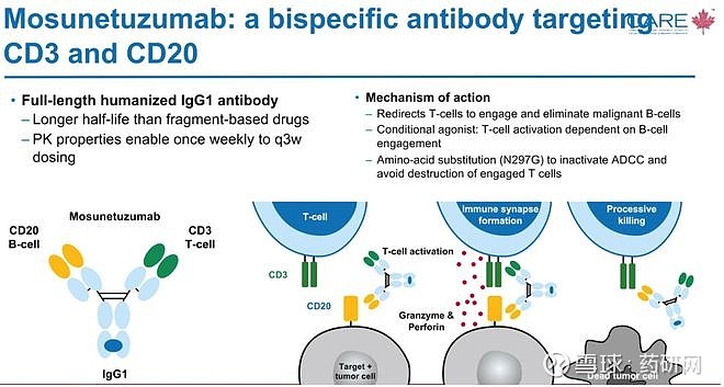 全球获批的10款双抗全梳理 近期，艾伯维/ Genmab 的CD3/CD20双抗获批上市，用于治疗复发难治性弥漫大B细胞淋巴瘤（R/R ...