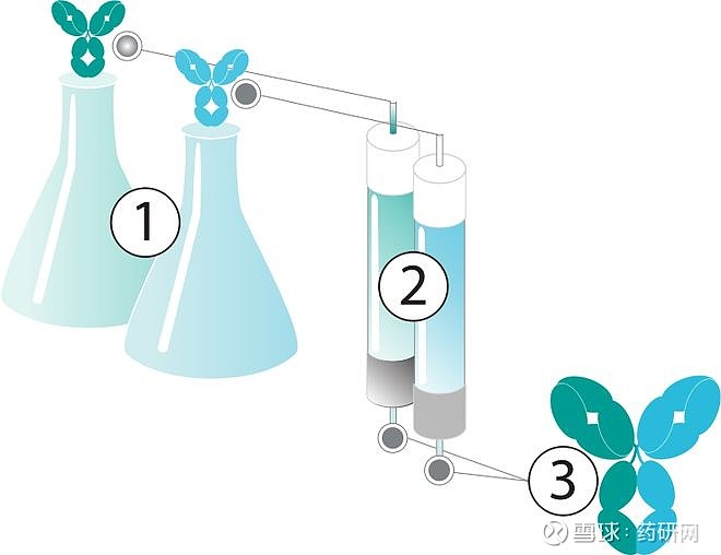 全球获批的10款双抗全梳理 近期，艾伯维/ Genmab 的CD3/CD20双抗获批上市，用于治疗复发难治性弥漫大B细胞淋巴瘤（R/R ...