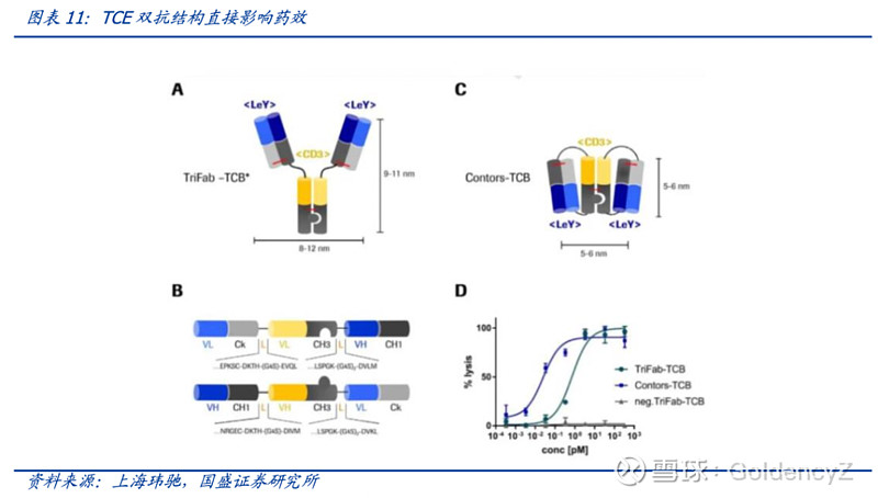 【TCE双抗专题系列报告】：创新药两年内的赛道性投资机会——TCE 双抗赛道(1)【国盛医... 1 TCE 双抗是什么? TCE 双抗是一类 ...