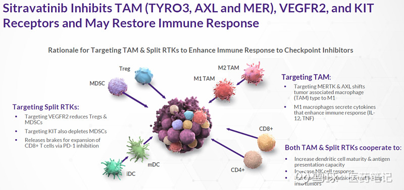 Sitravatinib肺癌三期临床失败：Mirati跌10%，百济神州拥有亚太权益 Armstrong 2023年5月24日， Mirati ...
