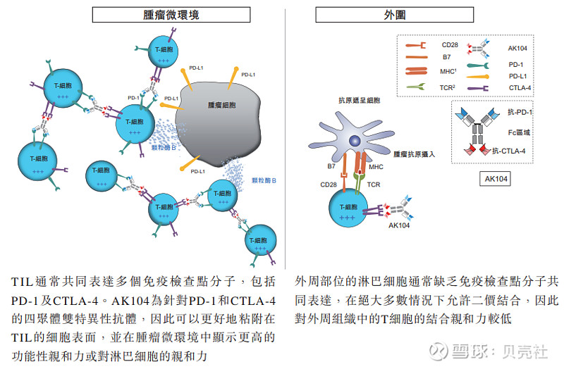 全球获批的10款双抗药物梳理 来源：药研网 近期，艾伯维/ Genmab 的CD3/CD20双抗获批上市，用于治疗复发难治性弥漫大B细胞淋巴瘤（R/R... - 雪球