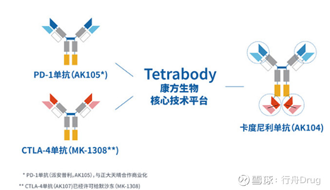 全球获批的10款双抗药物梳理 点击上方的 行舟Drug 添加关注 近期，艾伯维/ Genmab 的CD3/CD20双抗获批上市，用于治疗复发难 ...