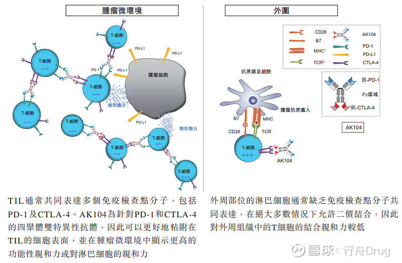 全球获批的10款双抗药物梳理 点击上方的 行舟Drug 添加关注 近期，艾伯维/ Genmab 的CD3/CD20双抗获批上市，用于治疗复发难 ...